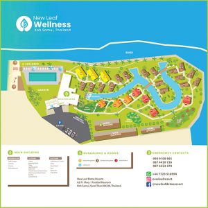 Reach out to us | New Leaf Wellness Resort